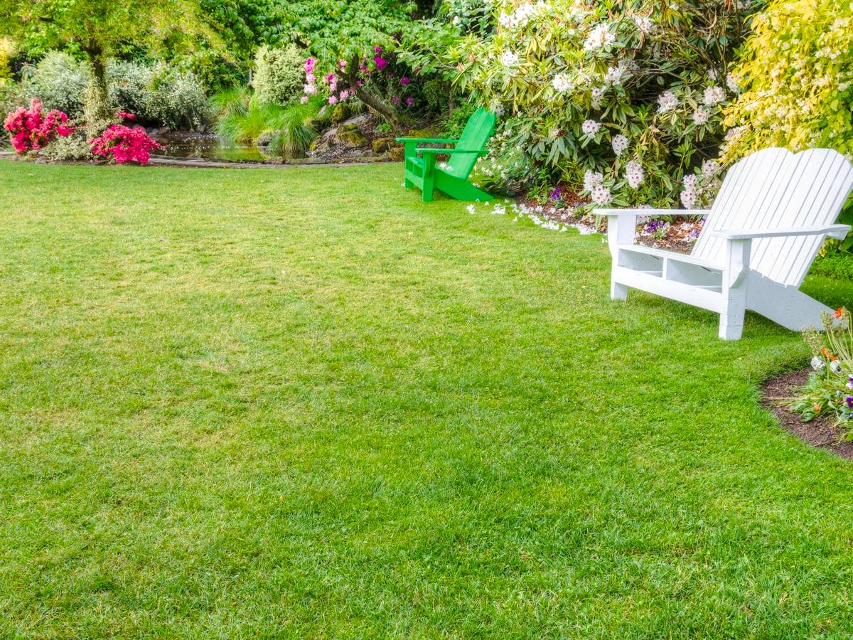 What Is The Best Lawn Type For Your Home? - Bunnings Australia