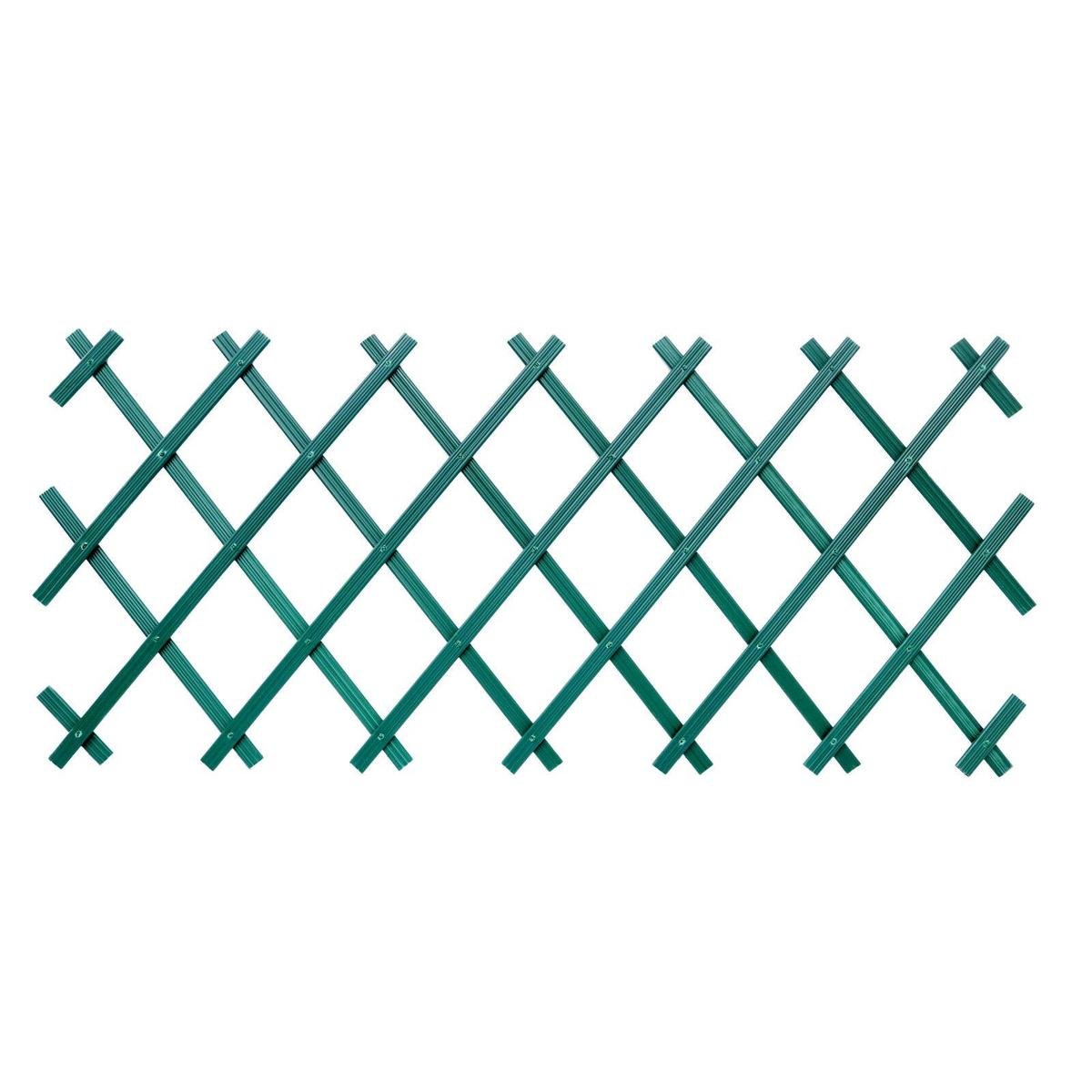 Jack 1m x 2m Green Expandable Trellis - Bunnings New Zealand