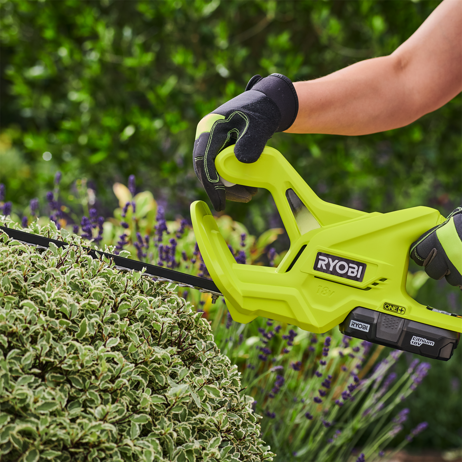 Bunnings ryobi 18v hedge trimmer store