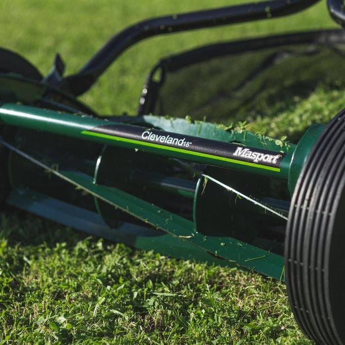 Masport cylinder mower bunnings store