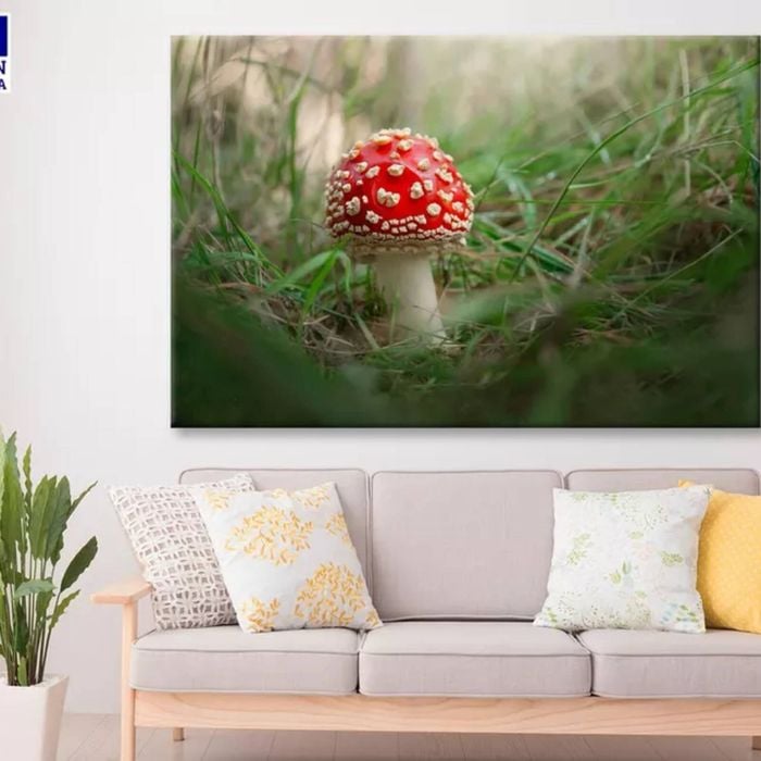 Close-Up Of Toadstool on Grass Print 100% Australian Made 120 x 90cm ...