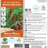 140mm Boronia Brown - Boronia megastigma - Bunnings Australia