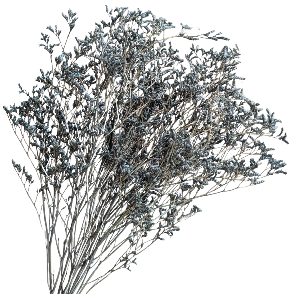 Blooms Of Joy 70cm Blue Limonium Flowers - Bunnings Australia