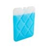 Esky Small Slim Ice Brick - Bunnings Australia