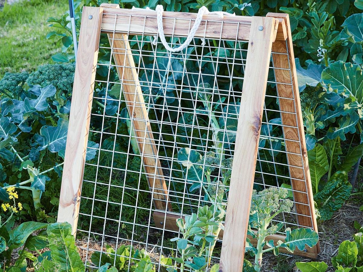 How To Make A Mesh And Timber Grow Frame - Bunnings New Zealand