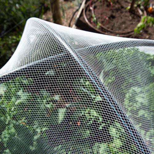 Backyard Farmer 2.5 x 2.5m x 5mm Anti Bird Net - Bunnings Australia