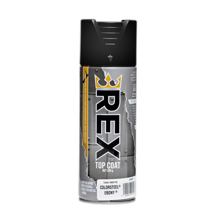 Rex 300g Metal Spray Paint - CS Ebony - Ebony - Bunnings New Zealand