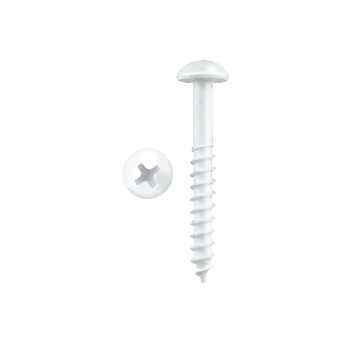 Pinnacle 4.0 x 30mm White Round Head Timber Screw - 20 Pack - Bunnings ...