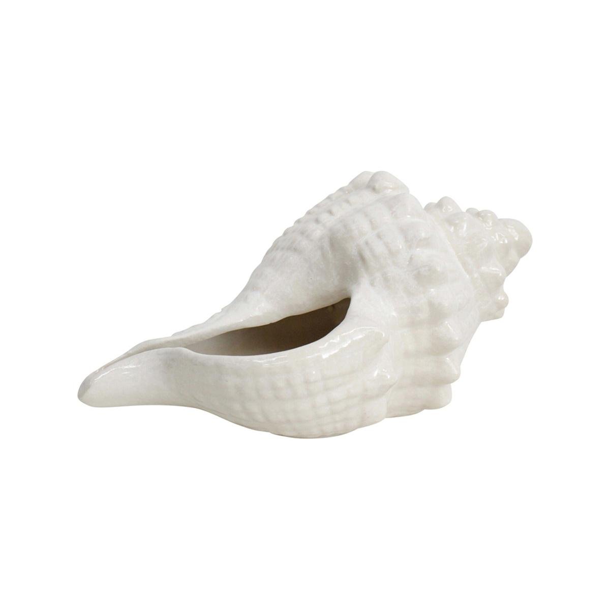 Decorative Shell Conoch Home Room Decor - Rustic Ivory - Bunnings Australia