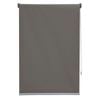 Pillar 240 x 240cm Colorbond Woodland Grey Indoor Roller Blind ...