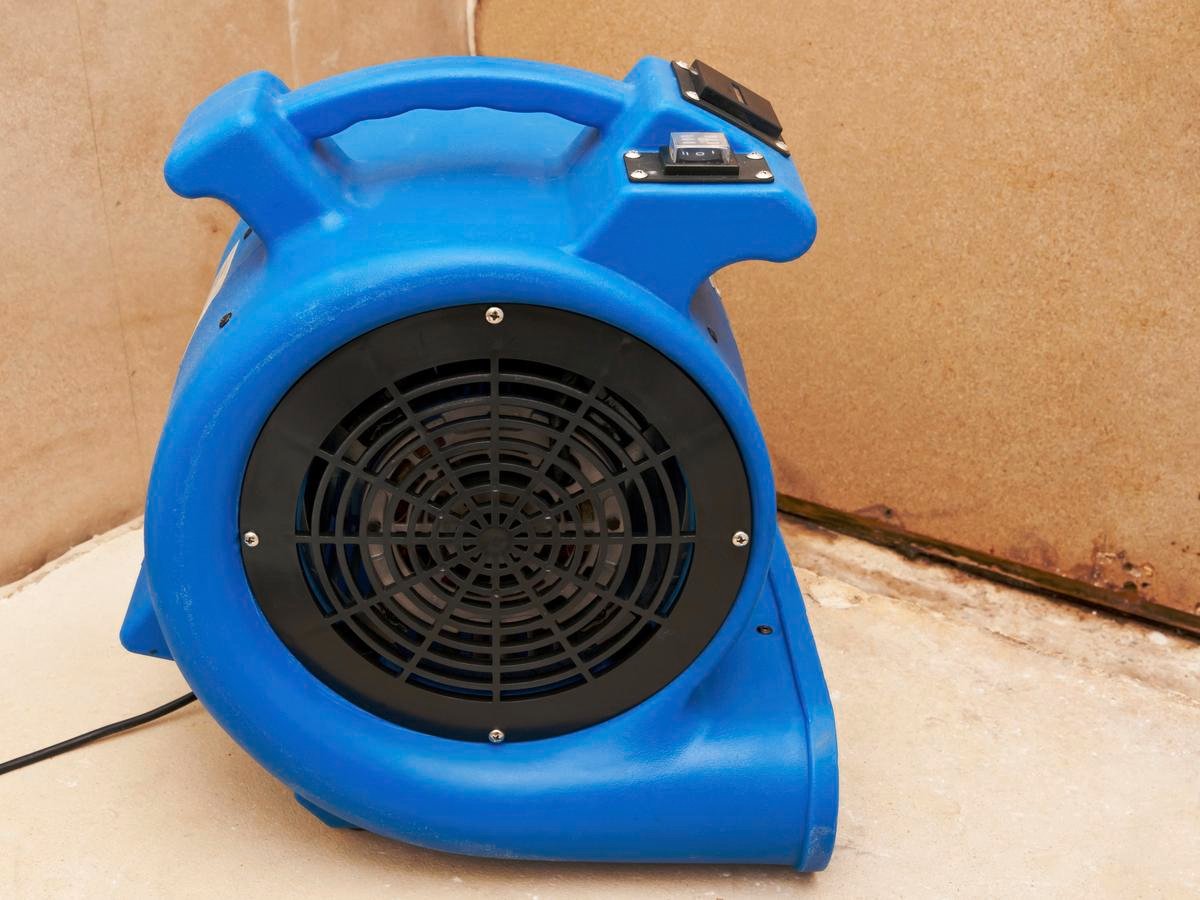 Carpet Blowers For Hire - Bunnings New Zealand