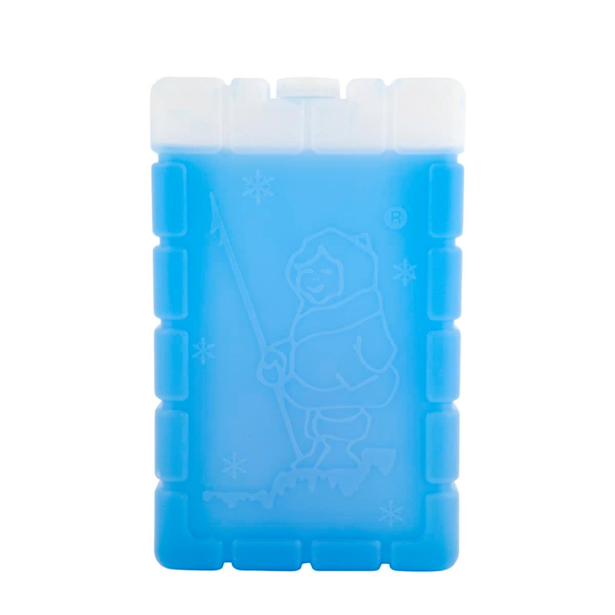 Esky Ice Brick Large - Bunnings New Zealand