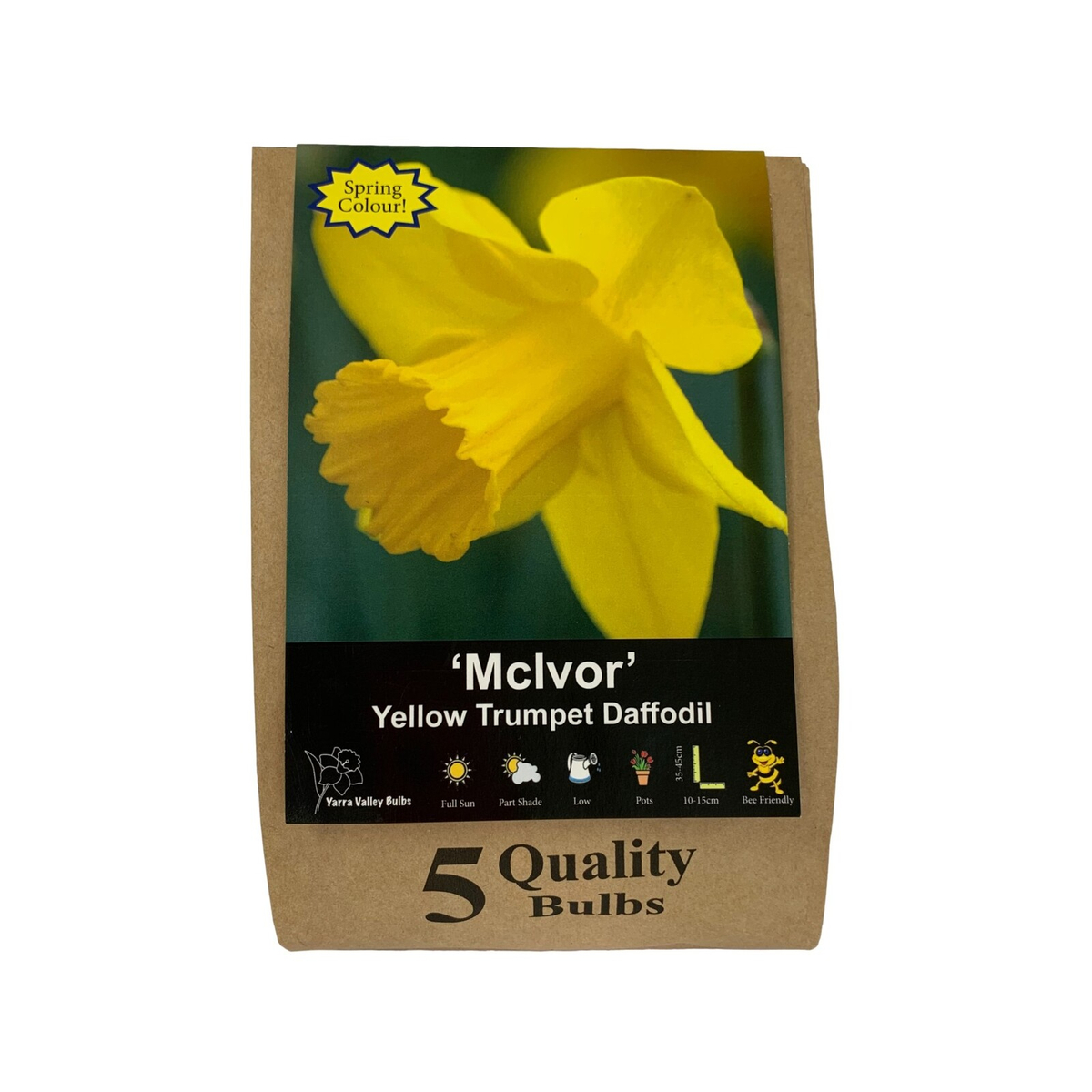 Yarra Valley Bulbs Daffodil McIvor - 5 Pack - Bunnings Australia