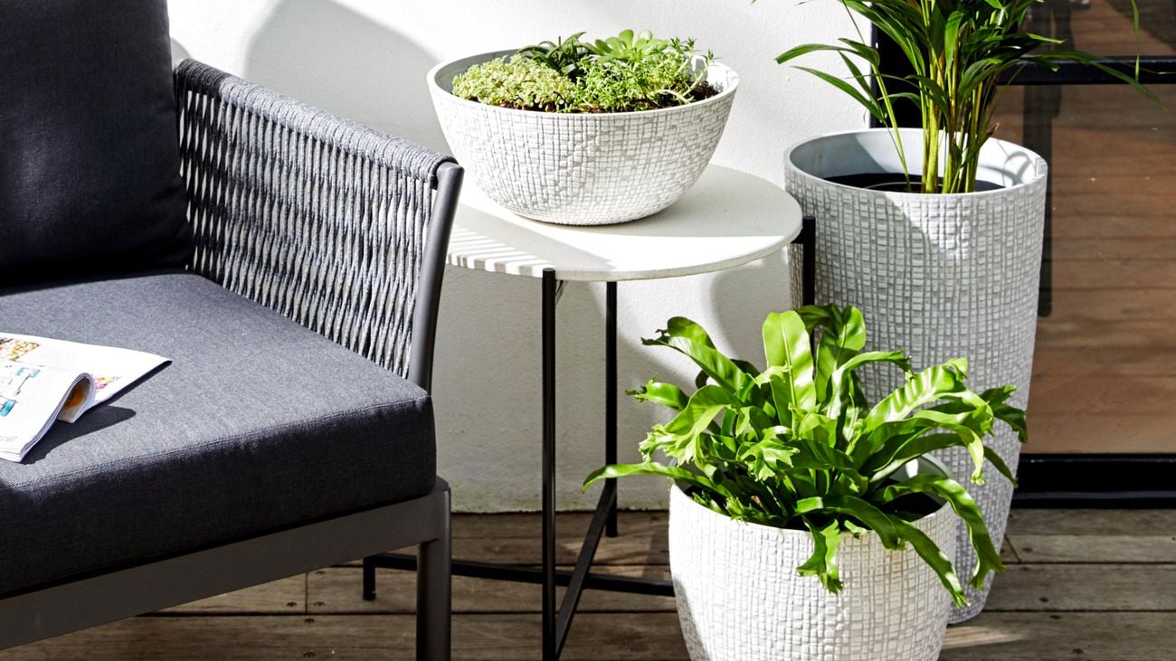 How To Choose The Right Outdoor Pot - Bunnings Australia