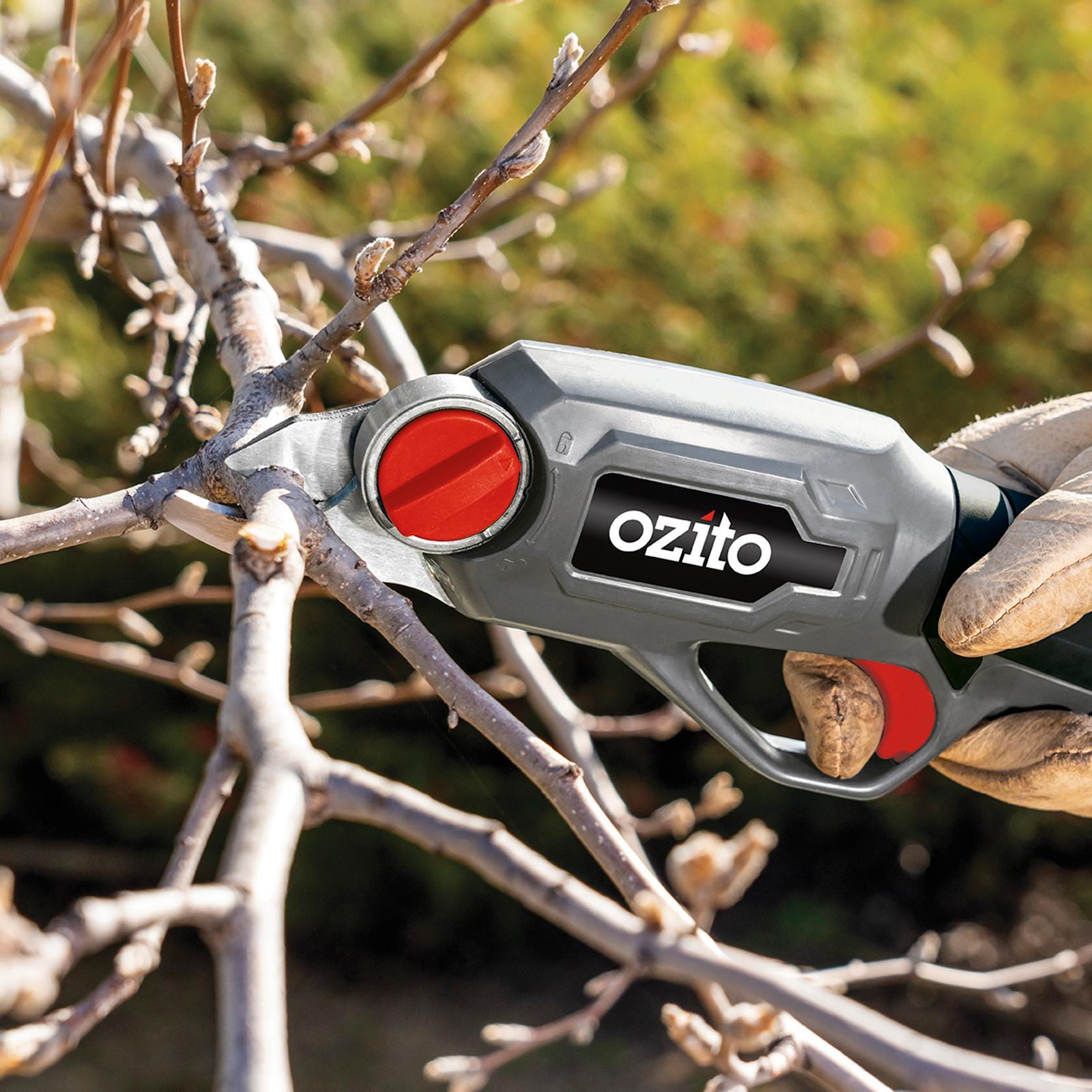 Cordless pruning shears bunnings store