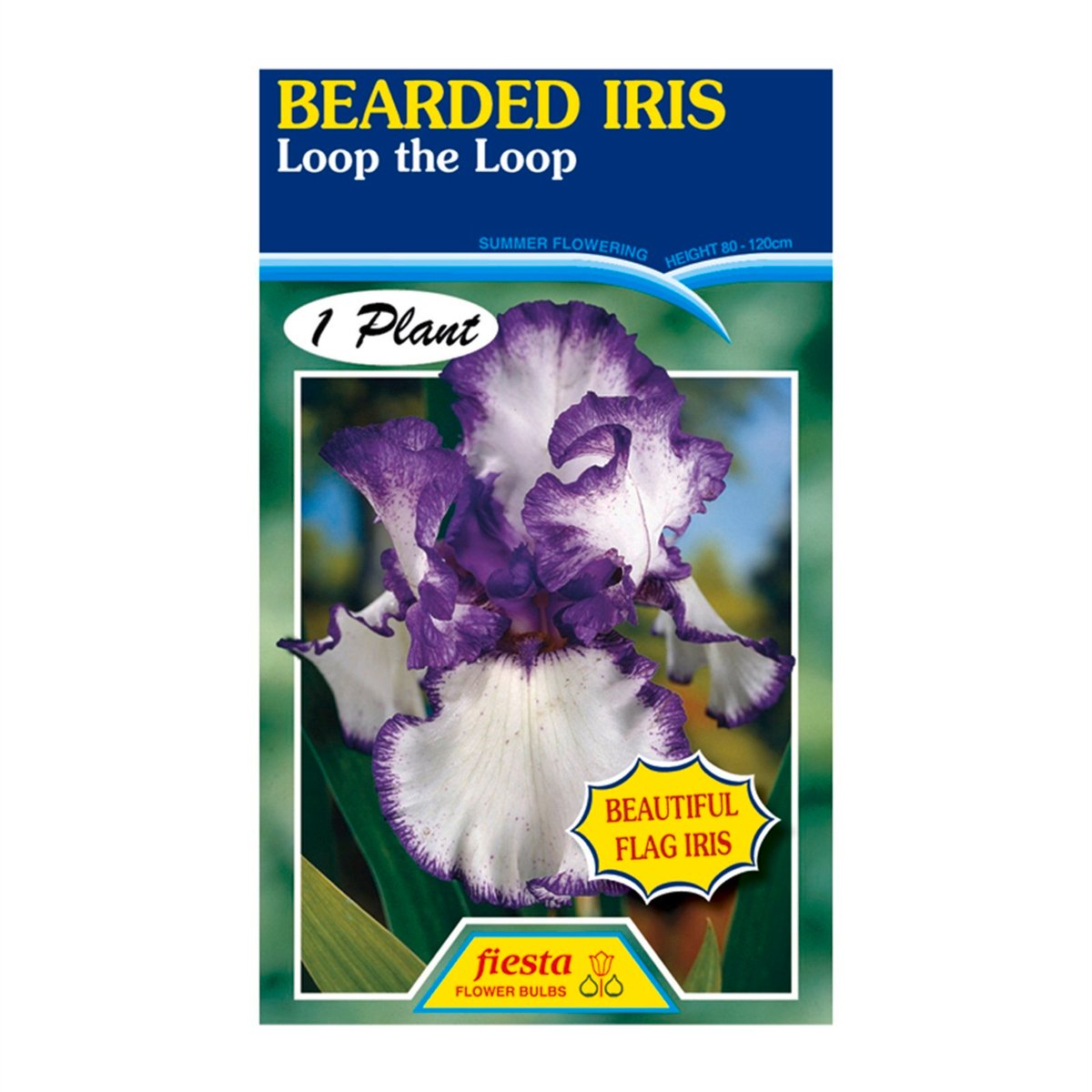 Fiesta Flower Bulbs Iris Germanica Loop the Loop Bulb - Bunnings New Zealand