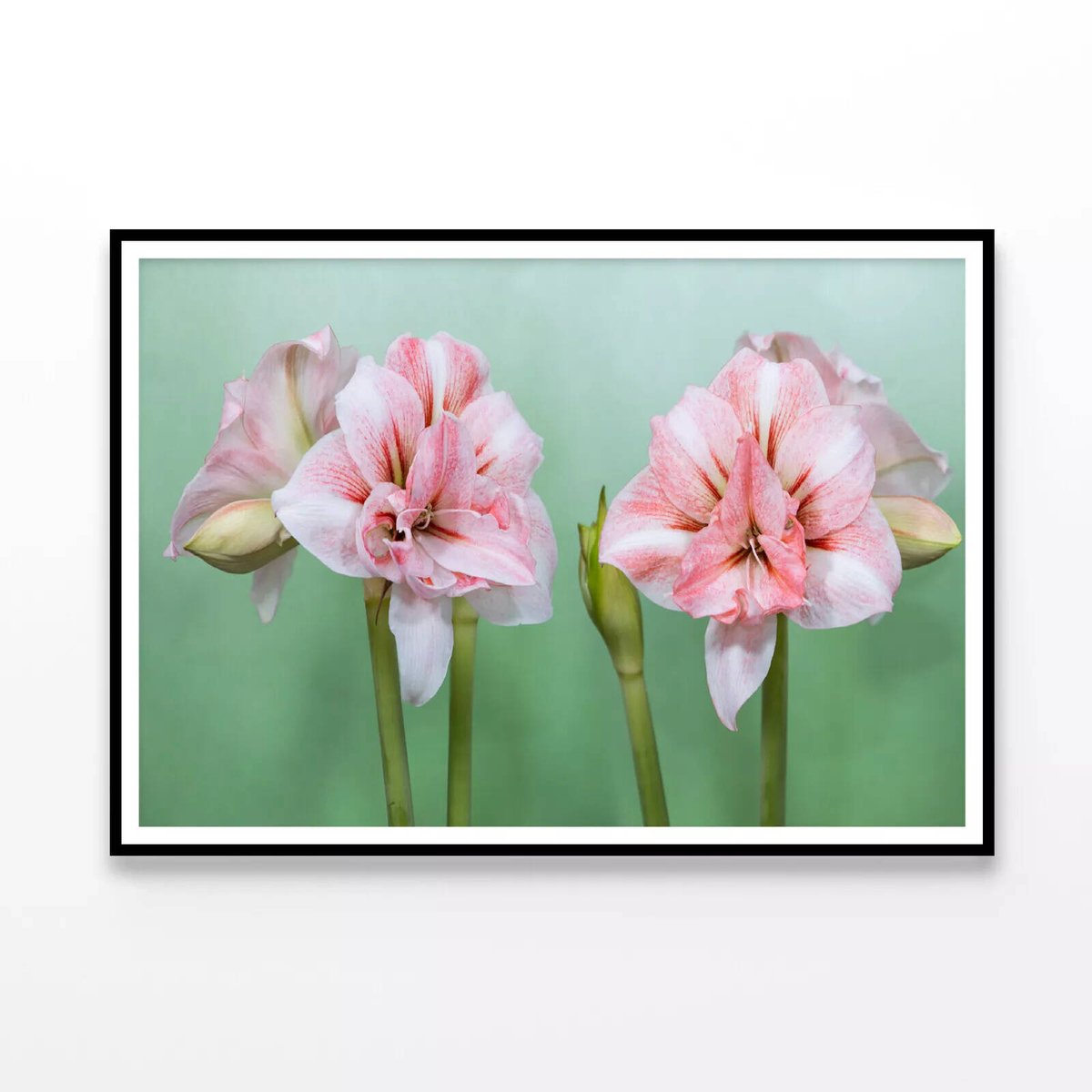 View of a Group of Pink Flowers Print 100% Australian Made 120x90cm ...