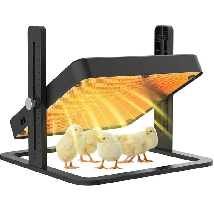 Advwin Chicken Brooder Heating Plate Brooder Heater - Bunnings Australia