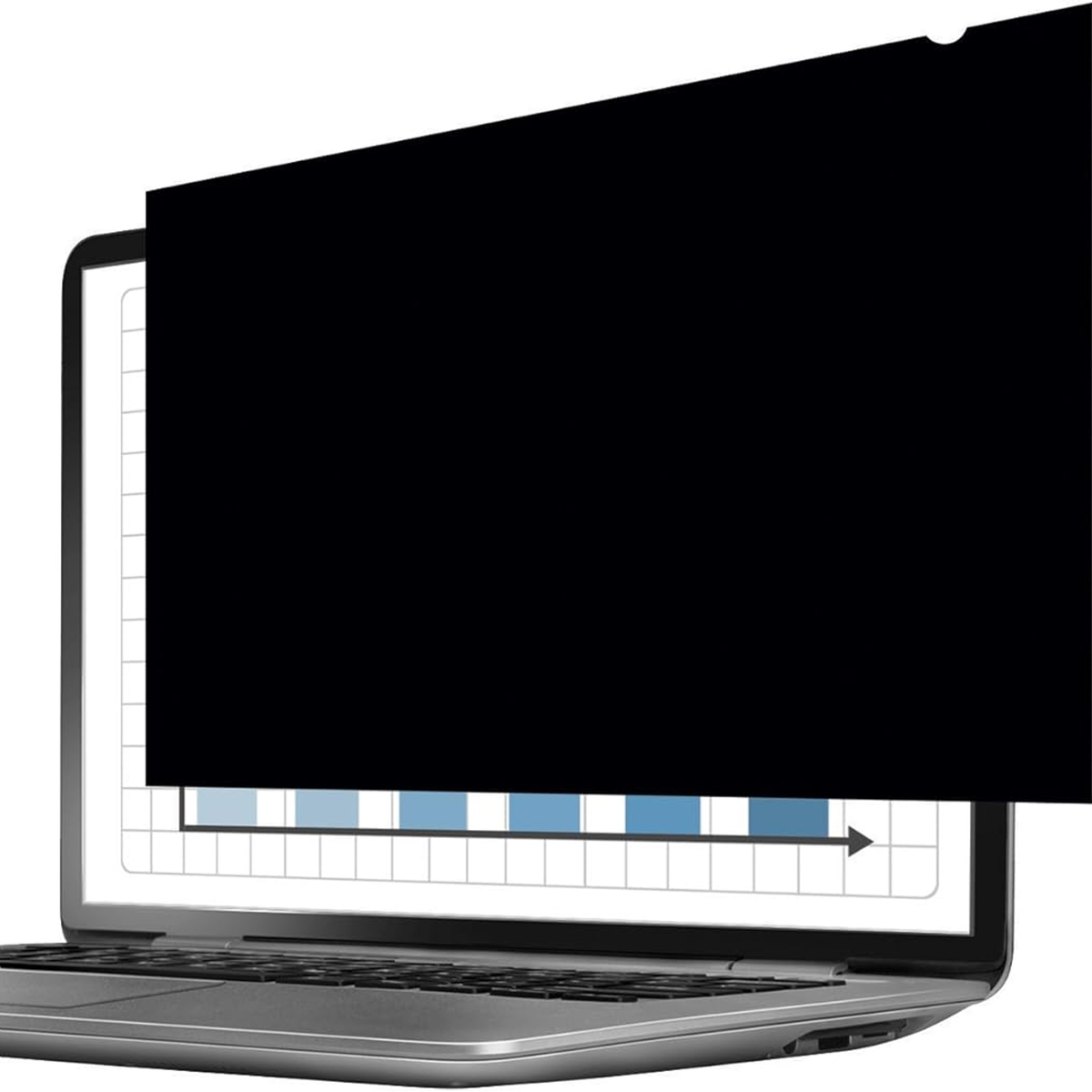 Fellowes PrivaScreen Privacy Filter 17" (5:4) Widescreen - Black ...