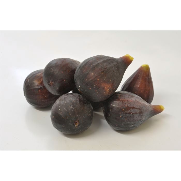 3L Fig Brunoro Black - Ficus carica - Incredible Edibles Range ...