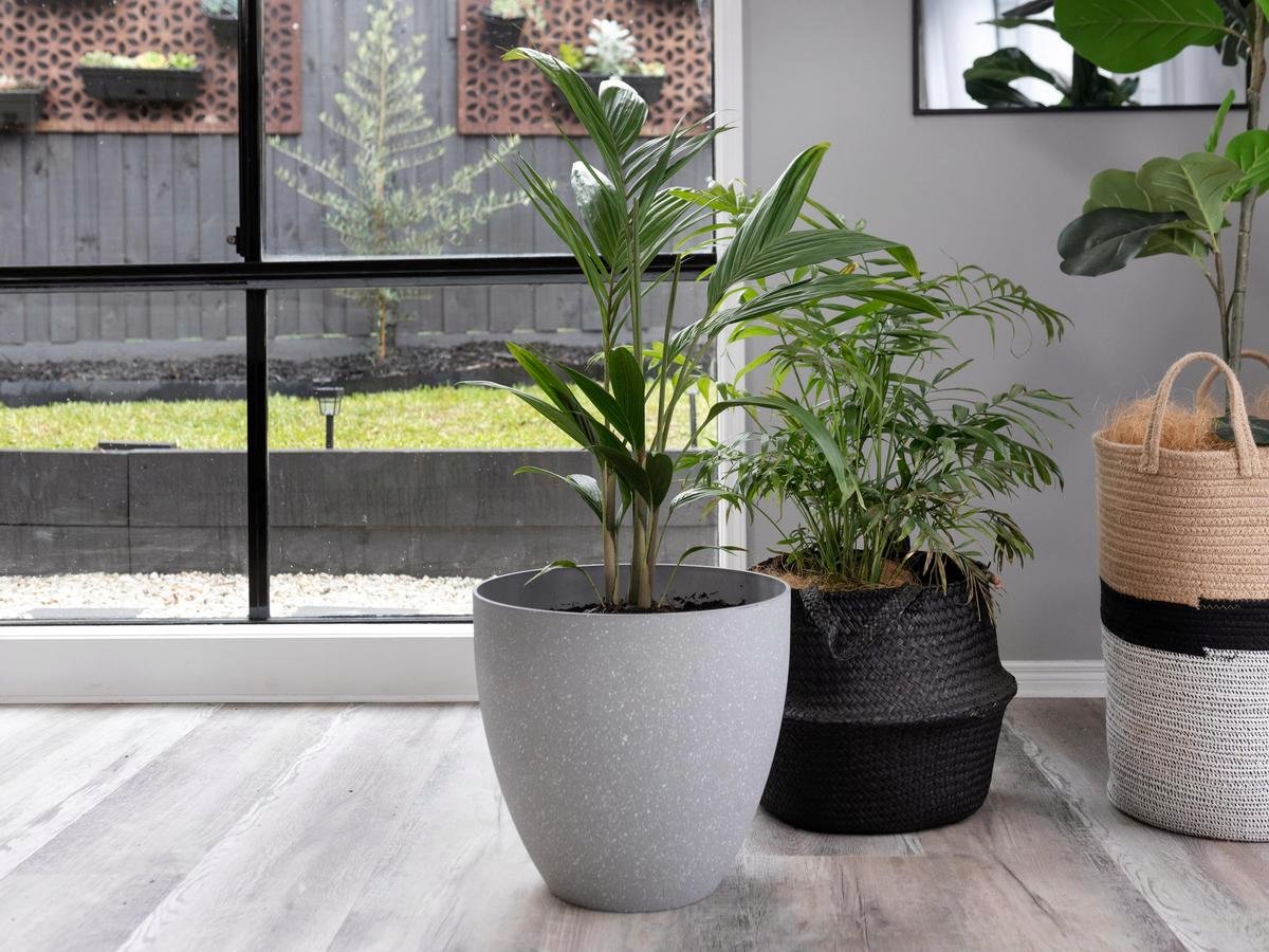 How To Pot A Plant - Bunnings Australia