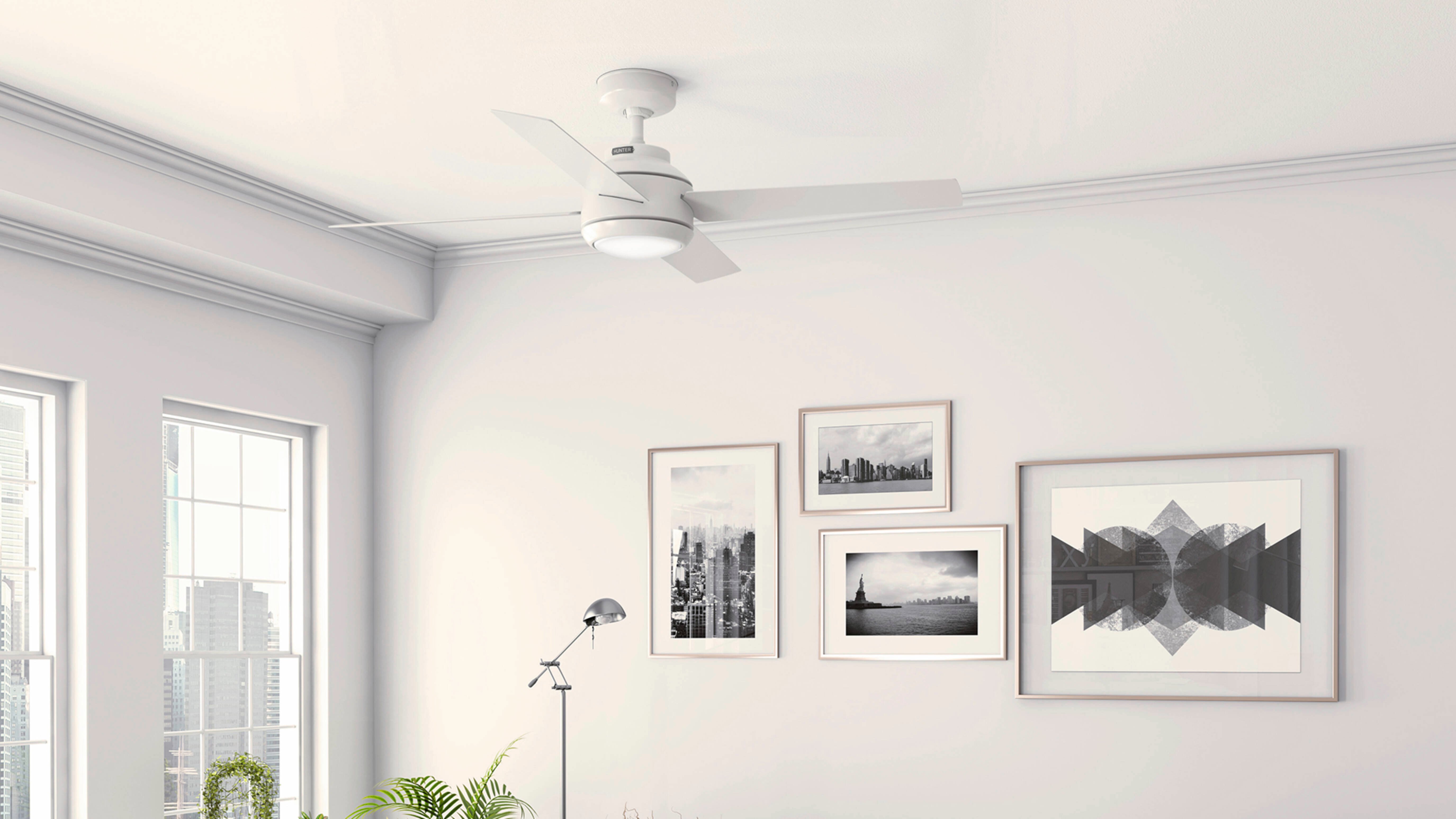 Choose The Perfect Hunter Ceiling Fan For Your Home - Bunnings Australia