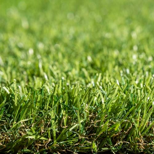 Tuff Turf 1.8m Real Tuff Artificial Grass - Linear Metre - Bunnings New ...