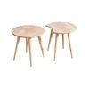 Natural Signature Small Raw Natural 2 Piece Ant Coffee Table Set ...