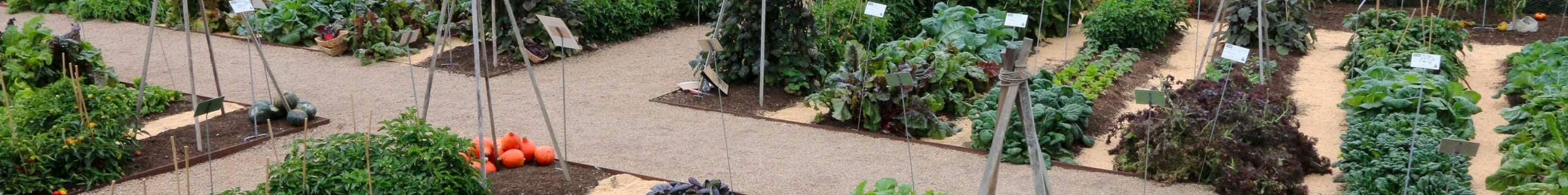 The Diggers Club - Bunnings Australia