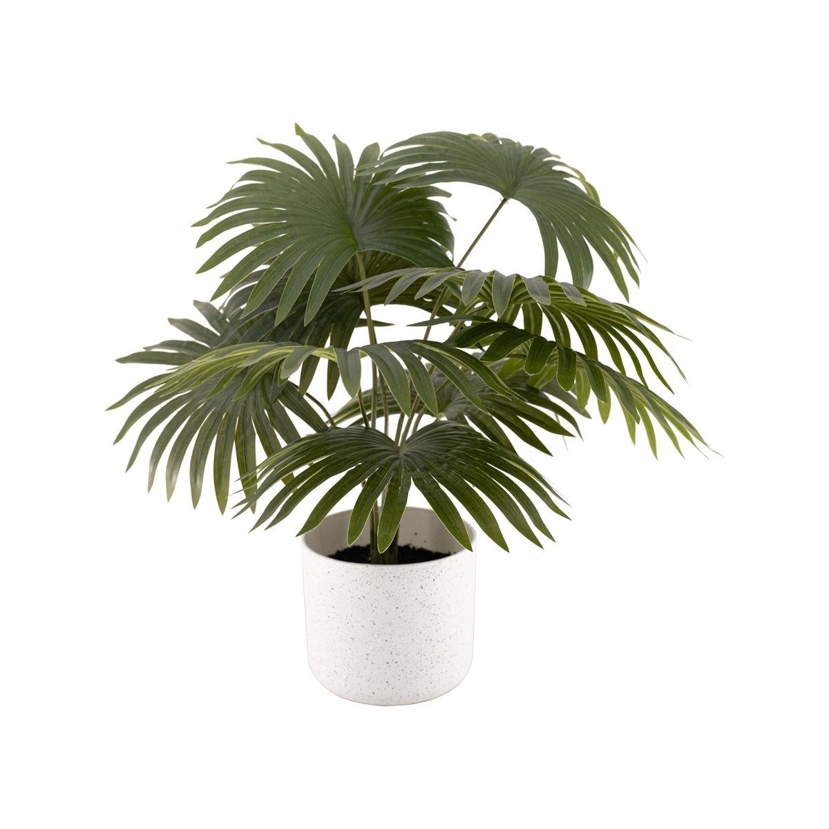 UN-REAL 45cm Artificial Plant Fan Palm - Bunnings Australia