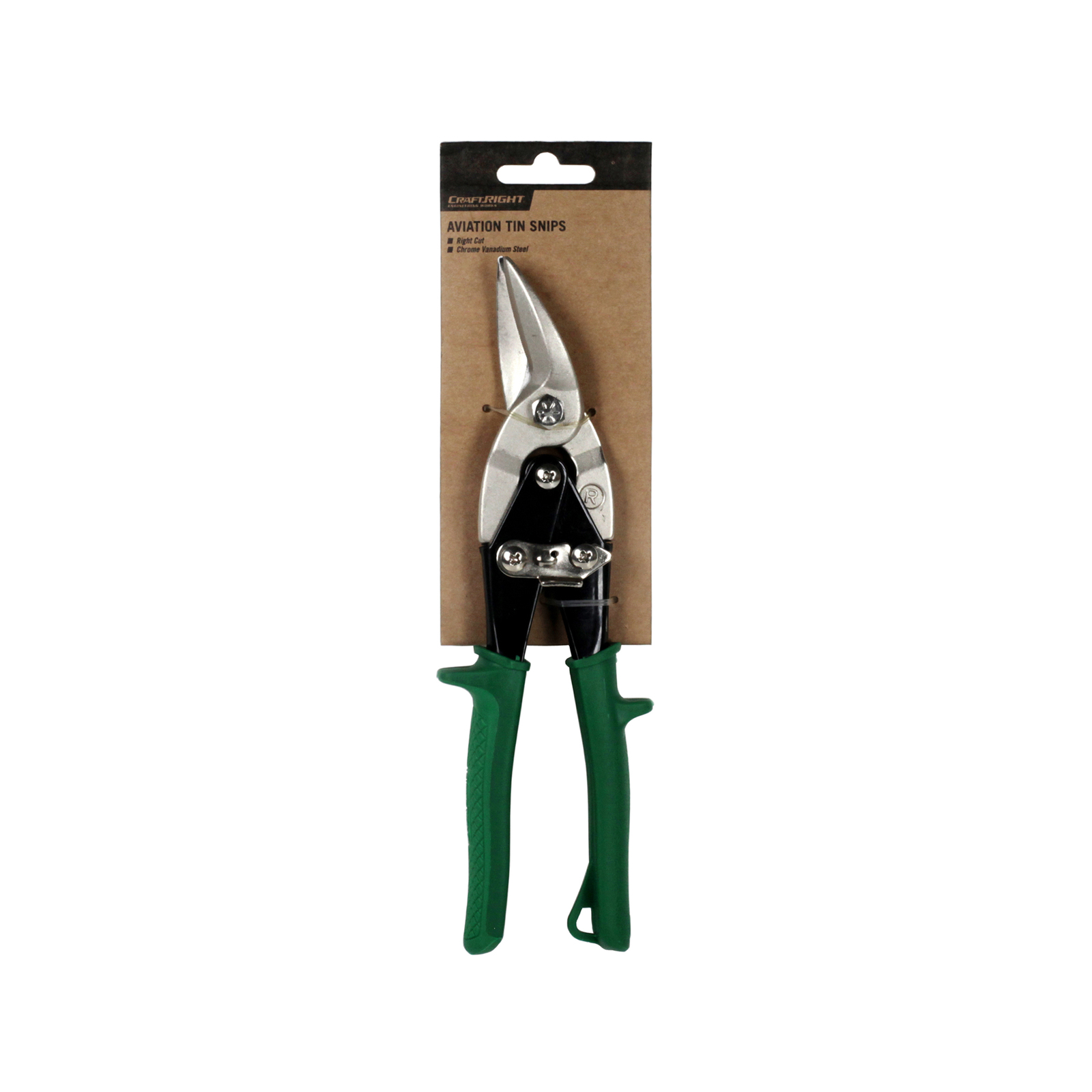 Snips bunnings store