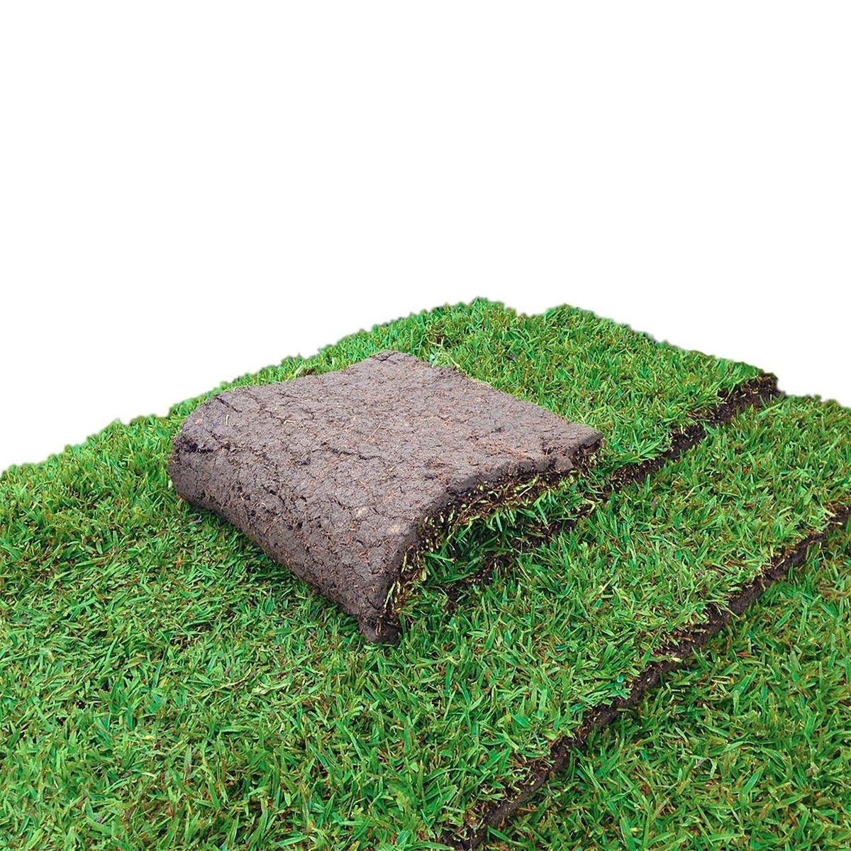Sir Walter 0.5m² DNA Certified Soft Leaf Buffalo Turf Slab - Bunnings ...