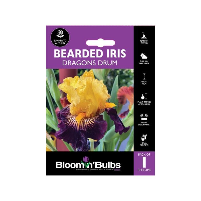 Bloomin Bulbs Bearded Iris Dragons Drum 1 Pack - Bunnings Australia