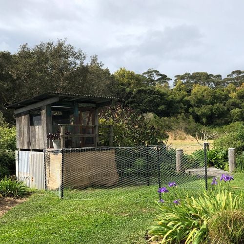 Jack 120cm x 50m Chicken Wire Netting - Bunnings Australia