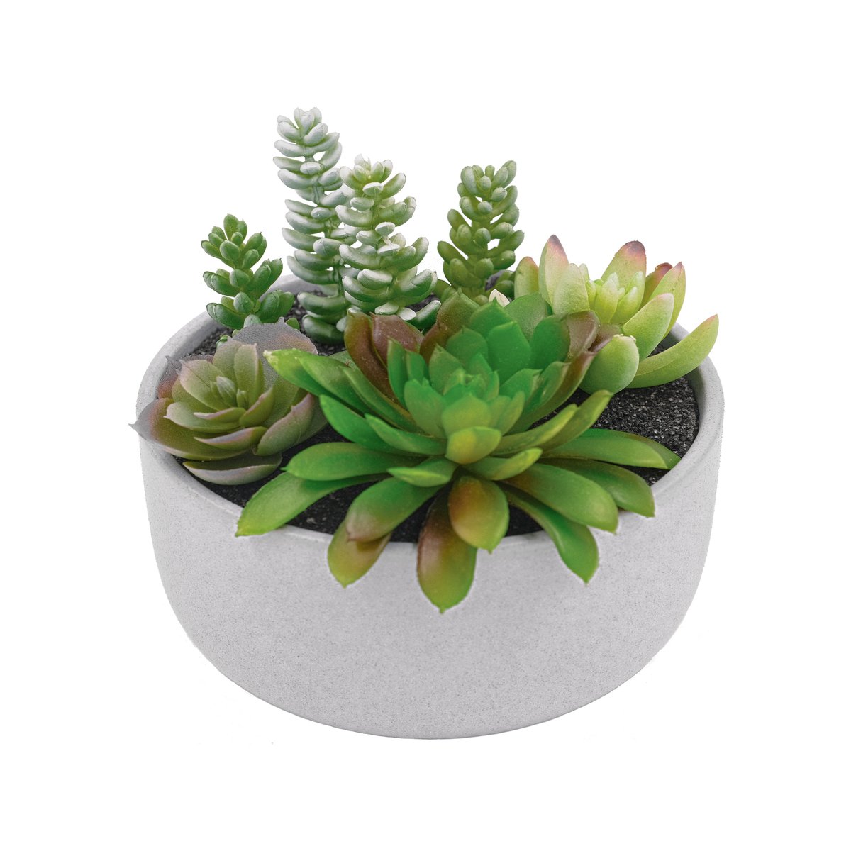 UN-REAL 15cm Sandy Blue Artificial Quad Succulent - Bunnings Australia
