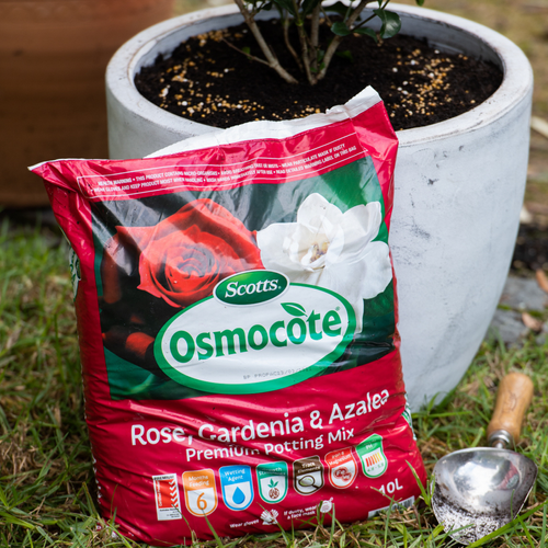 Scotts Osmocote 10L Rose, Gardenia & Azalea Premium Potting Mix ...