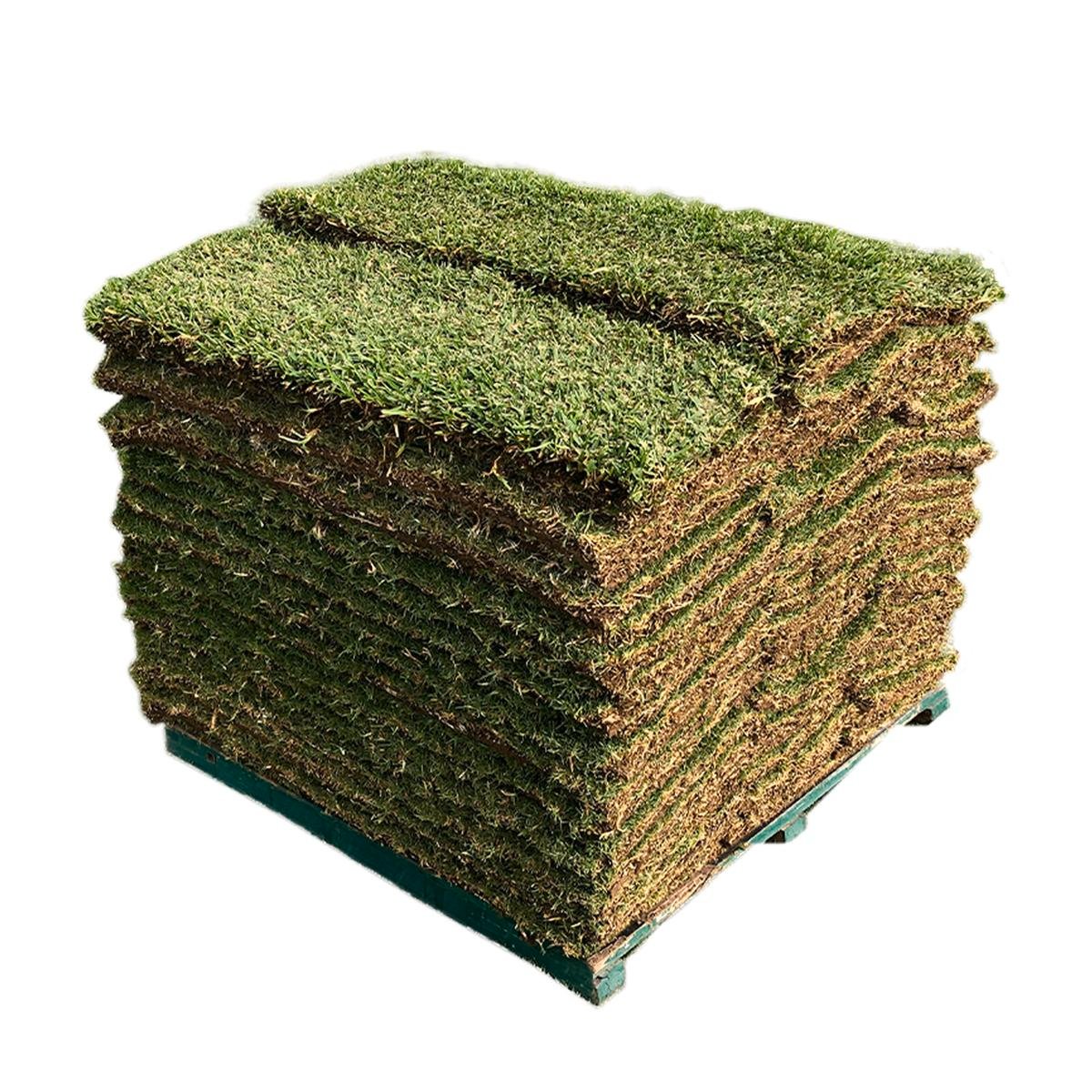 Sir Walter DNA Certified Buffalo 40m² Soft Leaf Buffalo Turf - Pallet ...