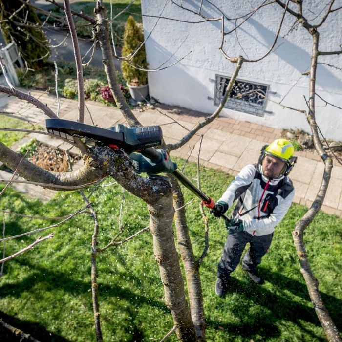 Metabo 18V Pruning Saw - Skin Only 15cm 600856850 - Bunnings Australia