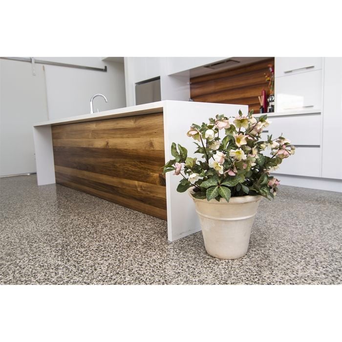 170mm Hellebore - Helleborus Molly's White - Bunnings Australia