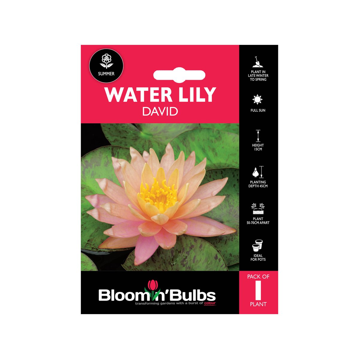 Bloomin' Bulbs Summer Red Water Lily David - 1 Pack - Bunnings Australia