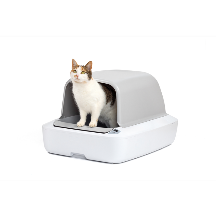 PetSafe® ScoopFree® Litter Box Crystal Pro Self-Cleaning - Bunnings ...