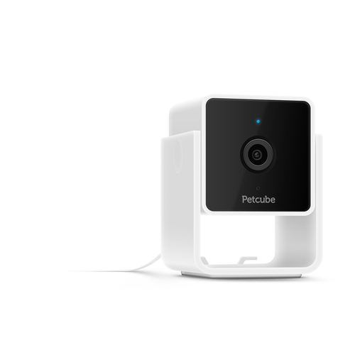 Petcube Cam Pet Monitoring Camera - White - Bunnings Australia