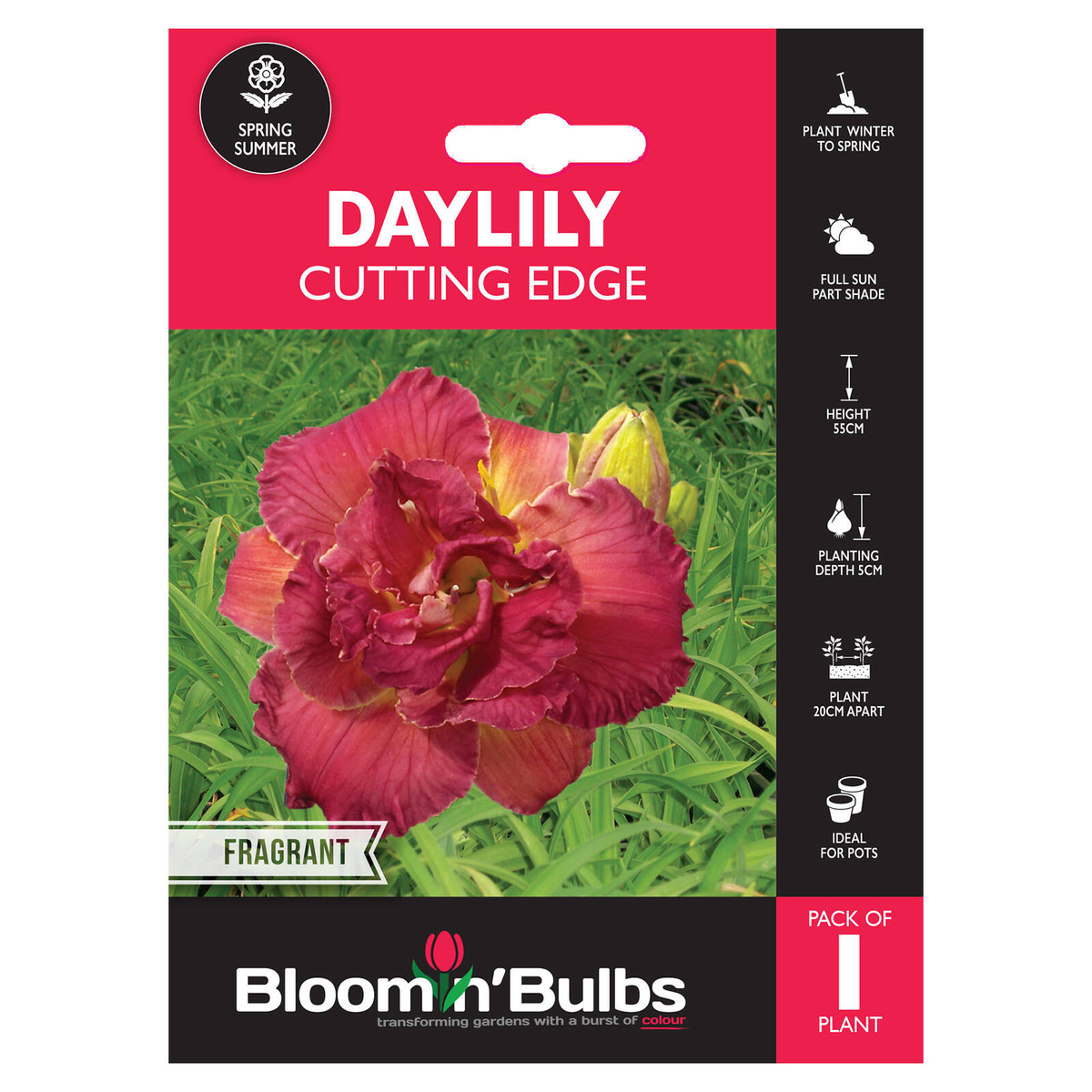 Bloomin' Bulbs Summer Red Daylily Cutting Edge - 1 Pack - Bunnings ...