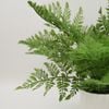 Artificial Plant - Rabbits Foot Fern - 35cm - Bunnings Australia