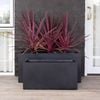 Northcote Pottery 60cm Black Emmerson Trough - Bunnings Australia