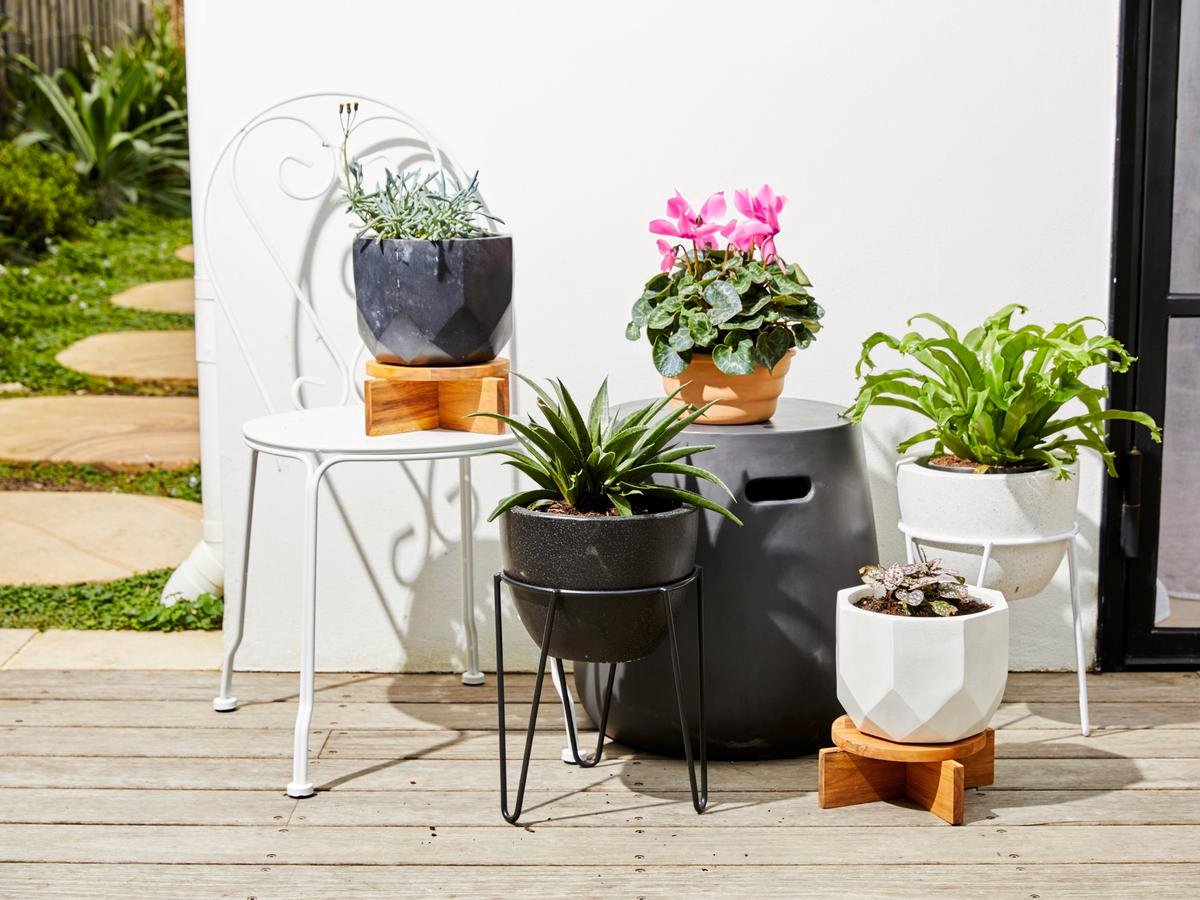 How To Choose The Right Outdoor Pot Bunnings Australia