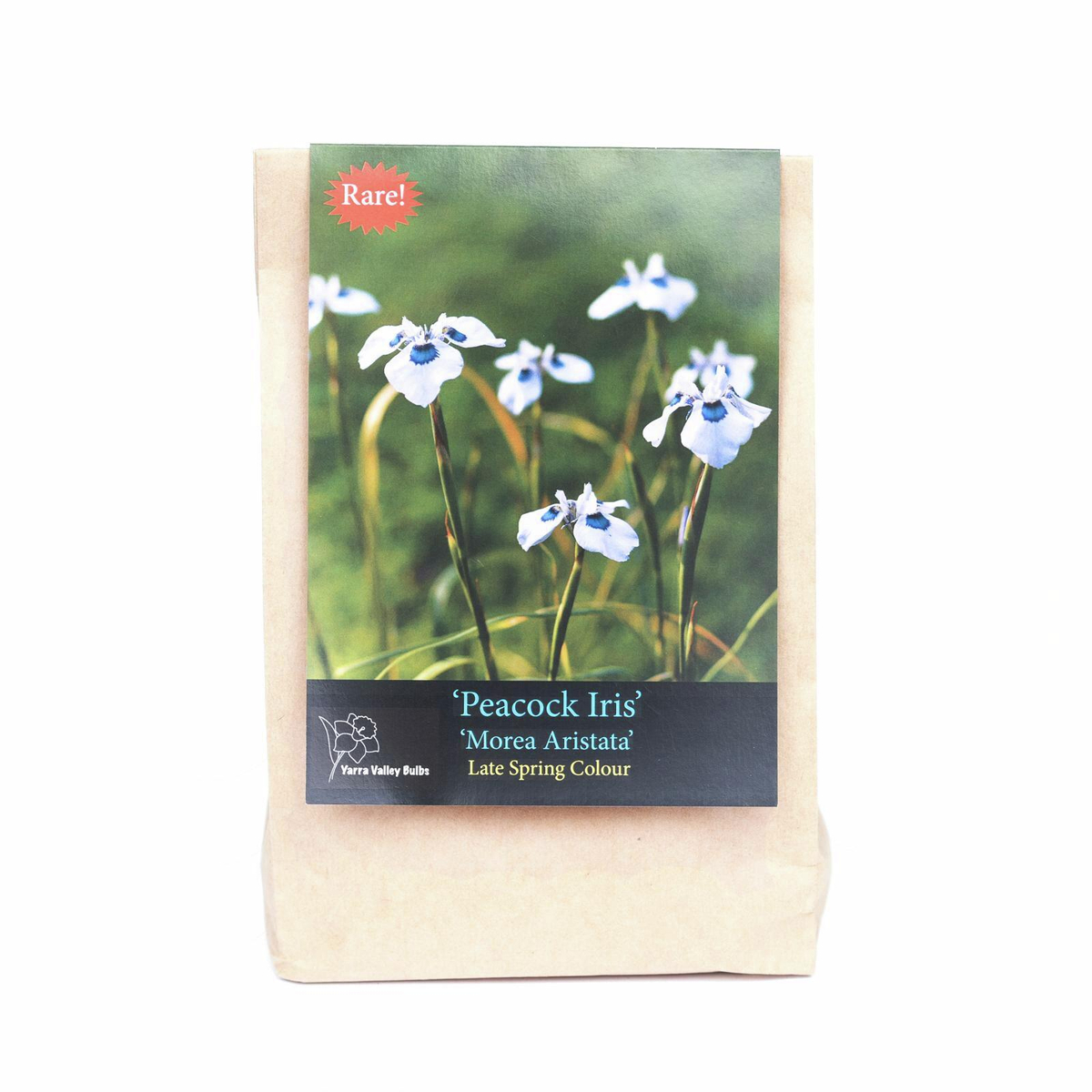Yarra Valley Bulbs Peacock Iris - 3 Pack - Bunnings Australia