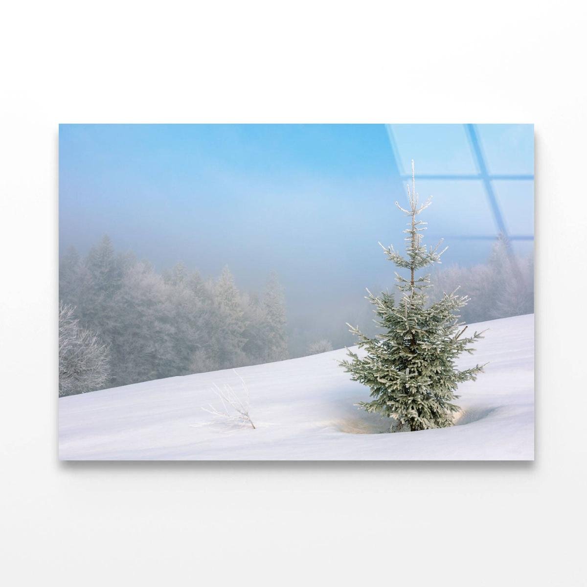 Little Fir Tree Print 100% Australian Made 150 x 100cm (Acrylic ...
