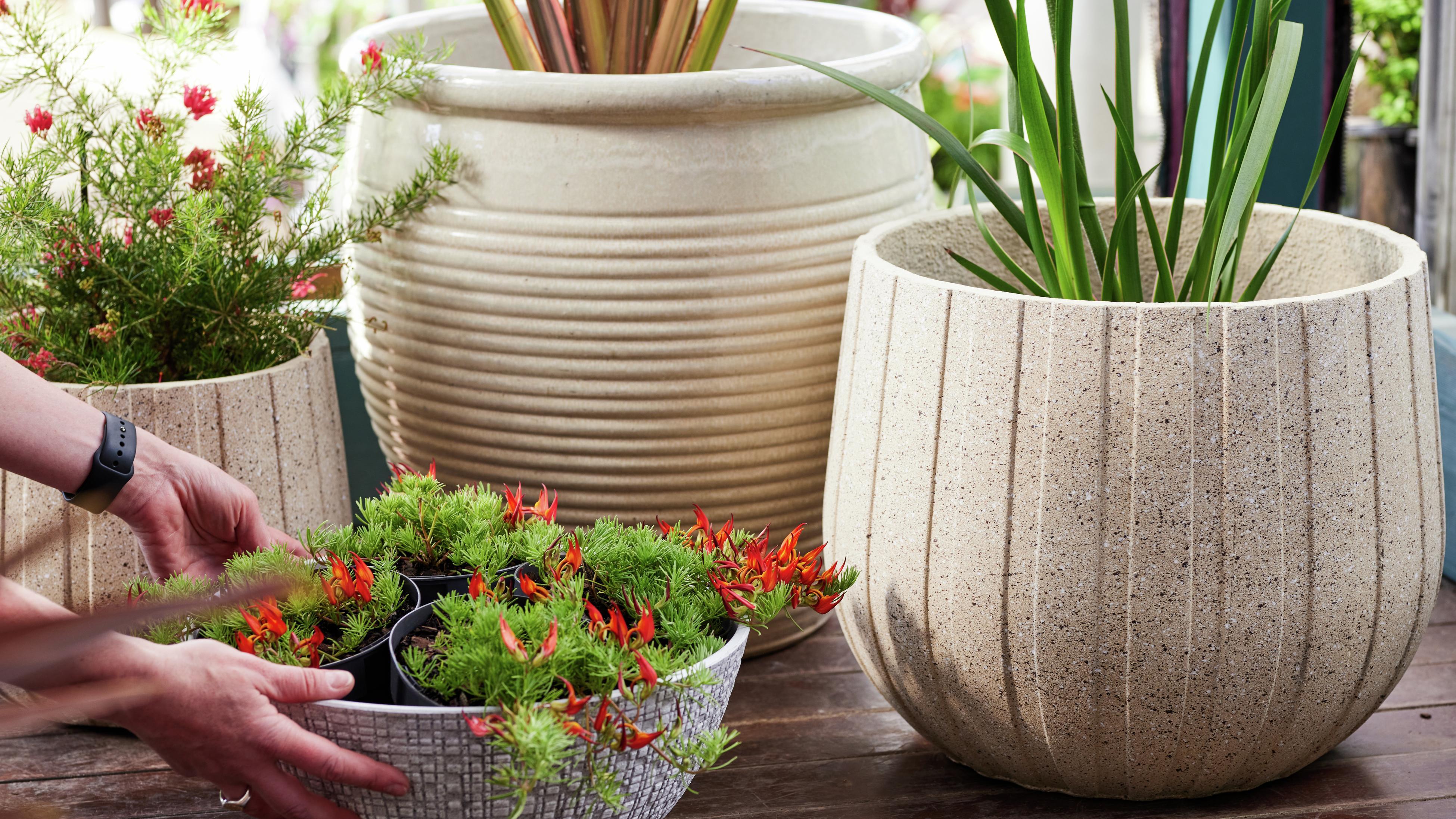 Bunnings large pots store
