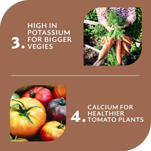 Yates 3kg Dynamic Lifter Plant Food Pellets Tomatoes, Vegies & Herbs ...